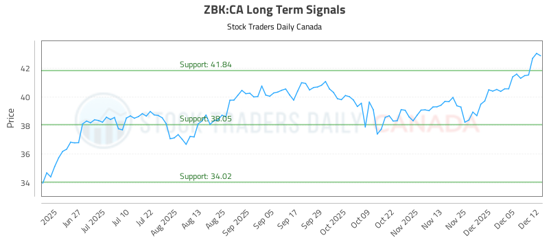 (ZBK) Financial Trading Report