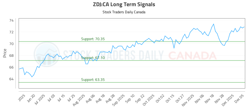 (ZDJ) Long Term Investment Analysis