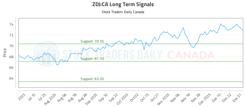 (ZDJ) Investment Performance Report