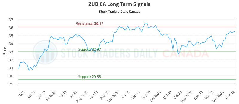 (ZUB) Investment Report