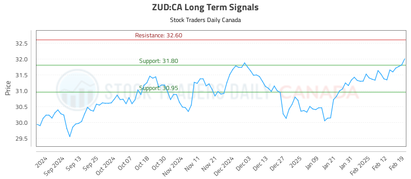 (ZUD) Investment Report