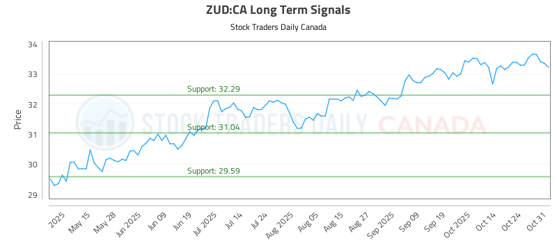 (ZUD) Strategic Market Analysis