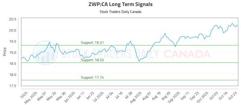 (ZWP) Strategic Market Analysis